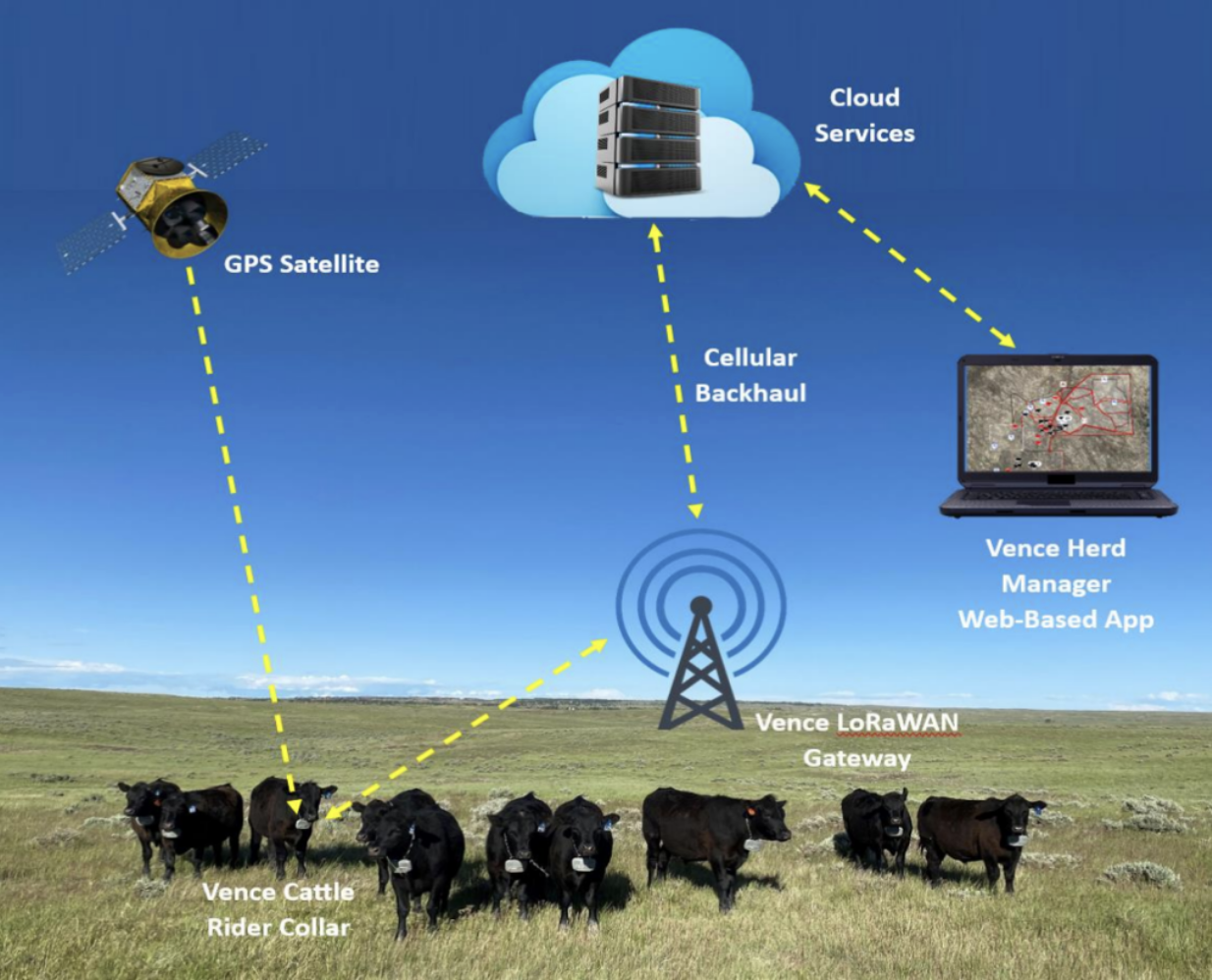 Research – The New Mexico Bison Restoration Network